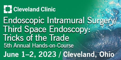 Endoscopic Intramural Surgery/Third Space Endoscopy: Insights & Tricks ...